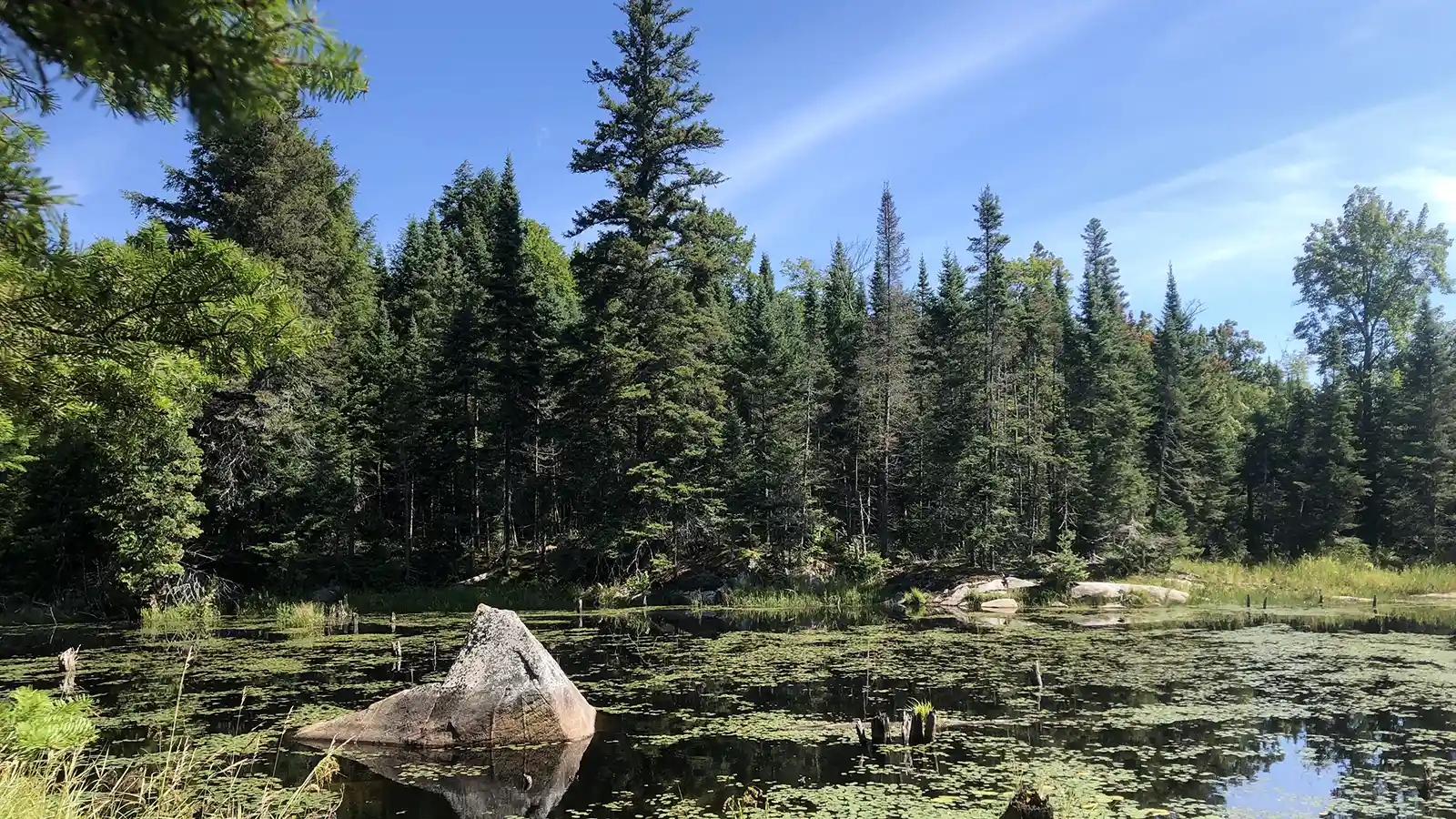 Ontario Archives - Maple Cross : Maple Cross